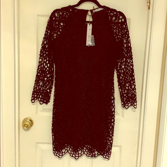 Solitaire | Dresses | Solitaire Black Lace Overlay Cocktail Dress Nwt ...